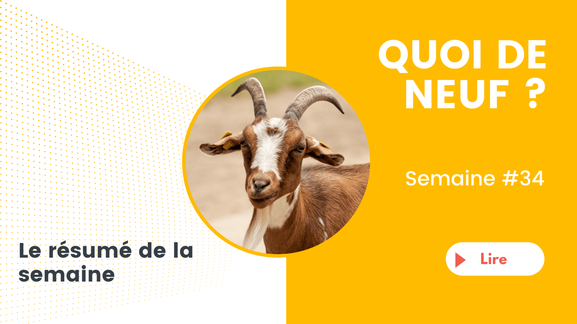 Quoi de neuf - Wekey Quoi de neuf - Wekey